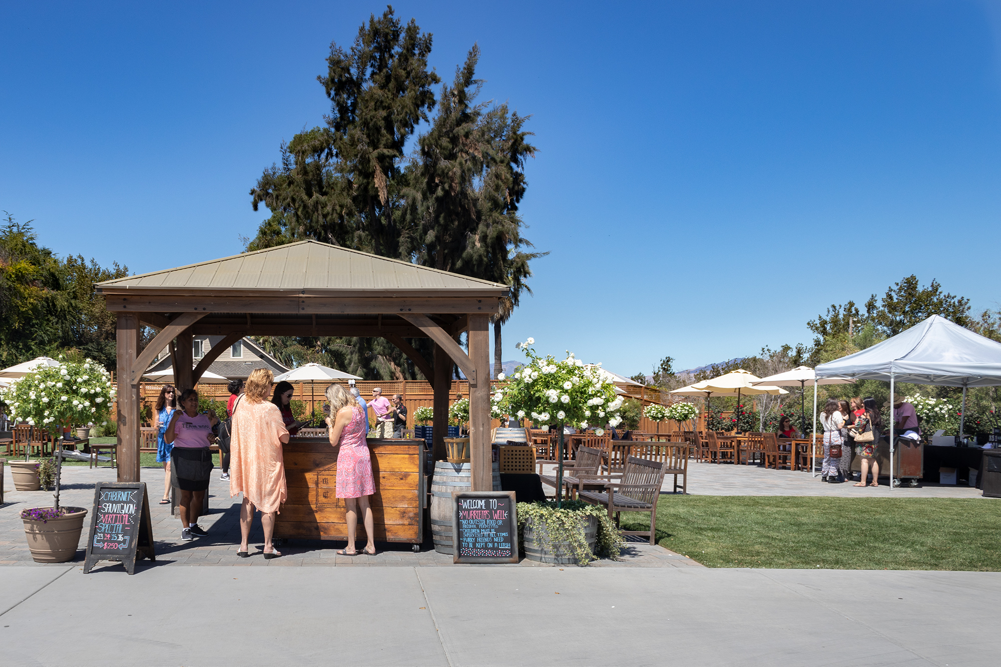 Livermore Valley Harvest Wine Celebration 2019